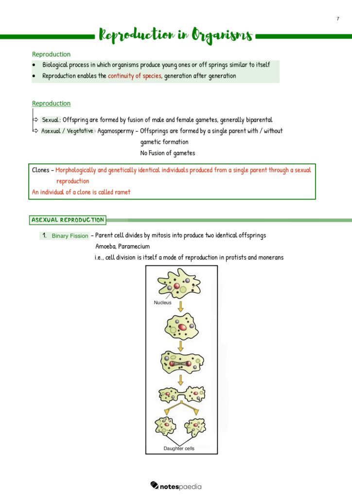 Biology Class XII NEET UG Notes