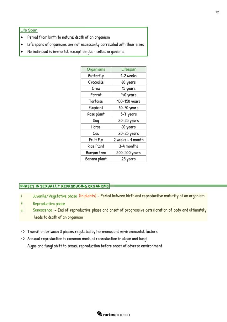 Biology Class XII NEET UG Notes